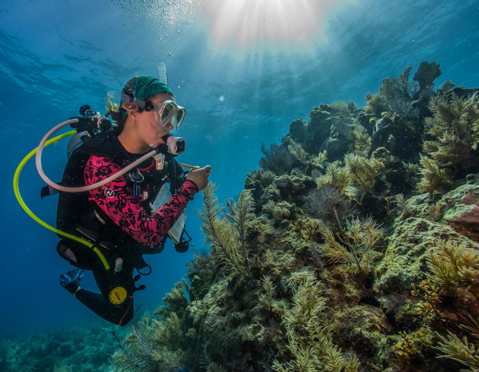 Coral Reef Alliance - Saving the World’s Coral Reefs