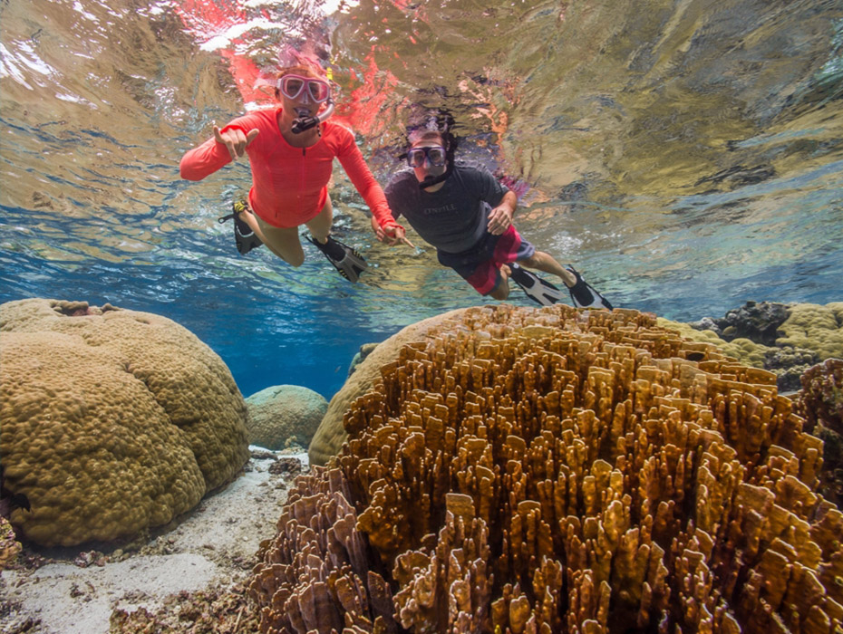 Mission & History - Coral Reef Alliance