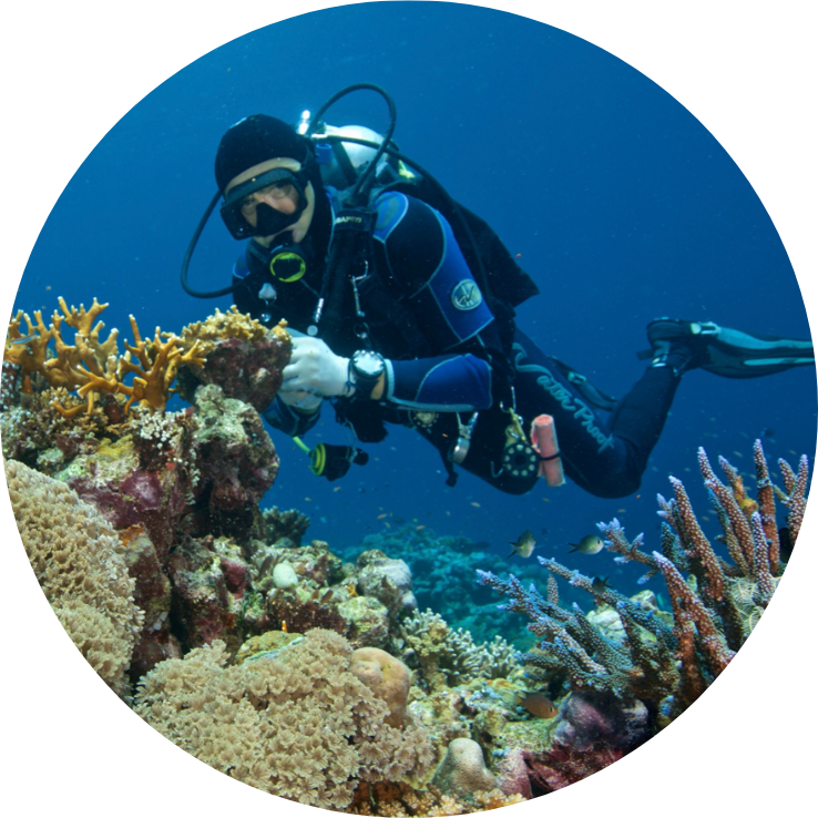 Coral Reefs Ecology & Biodiversity - Coral Reef Alliance