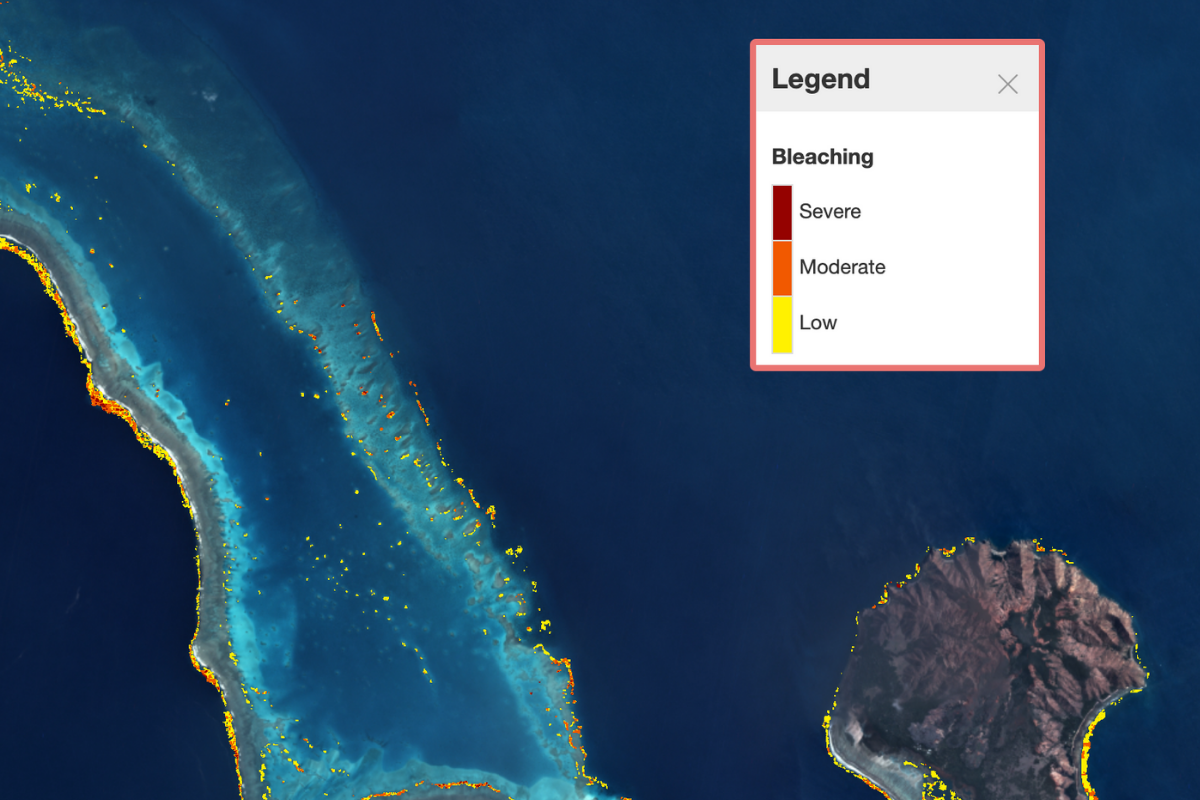 The Allen Coral Atlas Introduces the First Comprehensive Map of Shallow ...