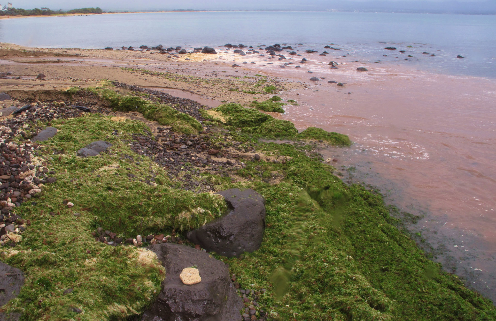 Local Threats to Coral Reefs - Coral Reef Alliance