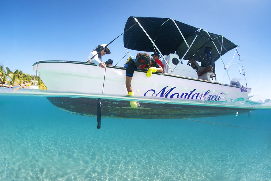 ¿Cómo Puedes Ayudar? - Coral Reef Alliance