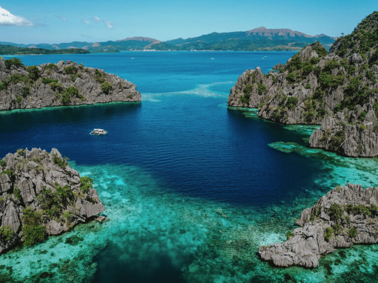 Coral Reefs in a Changing Climate: Expanding to the Coral Triangle ...