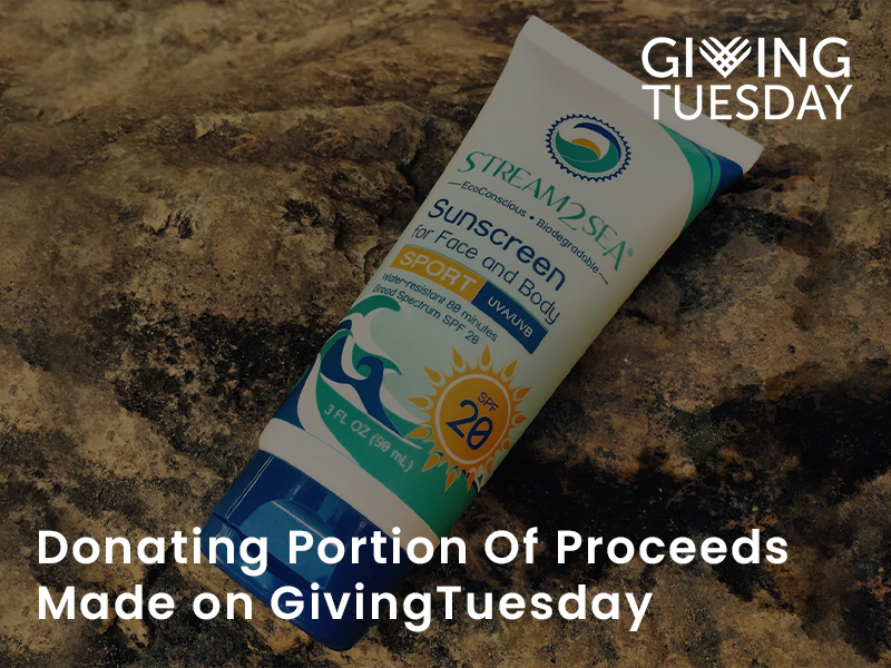 5 Ways to Dive into #GivingTuesday with CORAL - Coral Reef Alliance