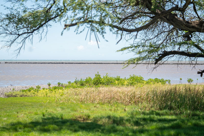 Protecting Molokai’s Coral Reefs with the Restoration of Ancient ...