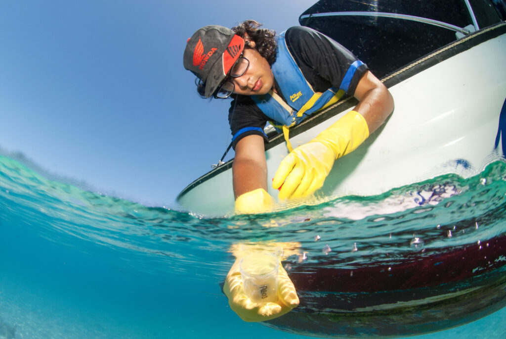 What is Coral Restoration, and Can it Save Coral Reefs? - Coral Reef ...