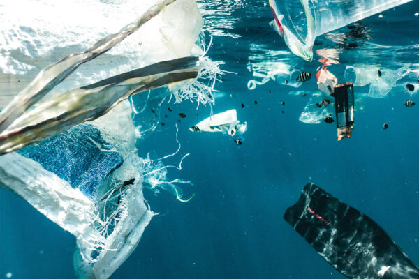 Why Clean Water is Vital for the Future of Our Oceans - Coral Reef Alliance