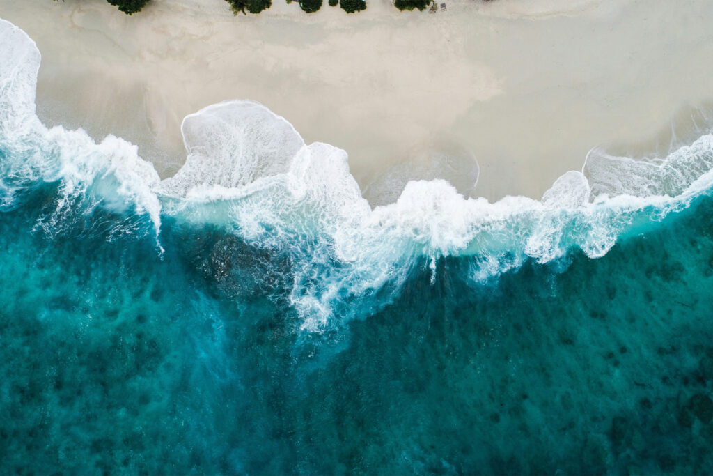 Why Clean Water is Vital for the Future of Our Oceans - Coral Reef Alliance