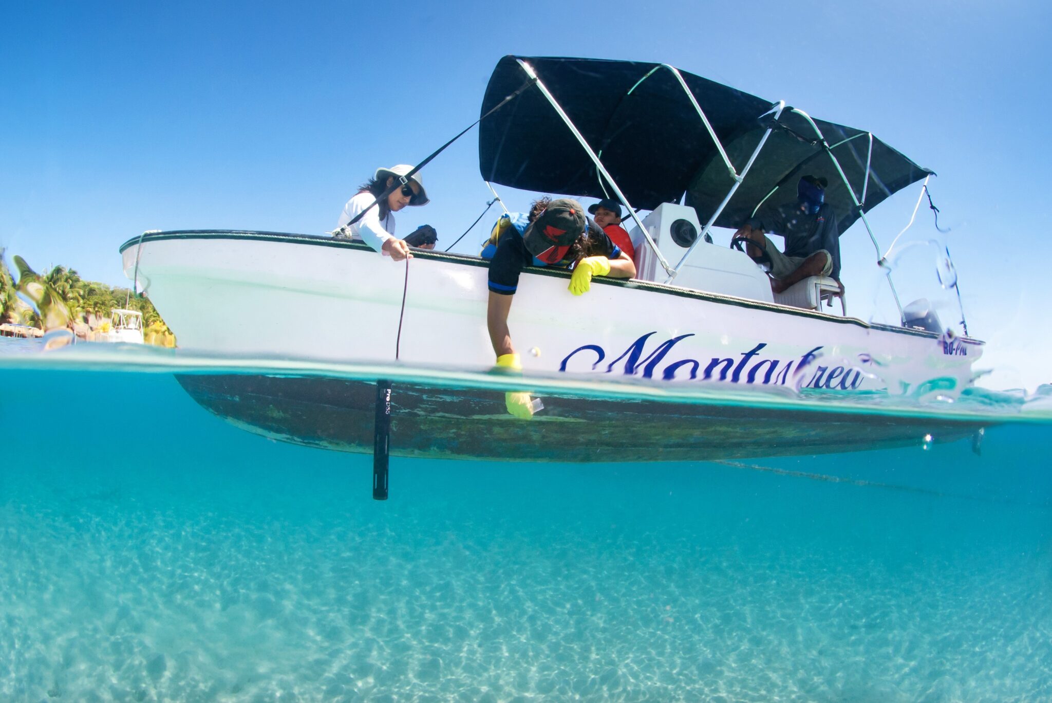 Marine Water Quality Monitoring - Coral Reef Alliance
