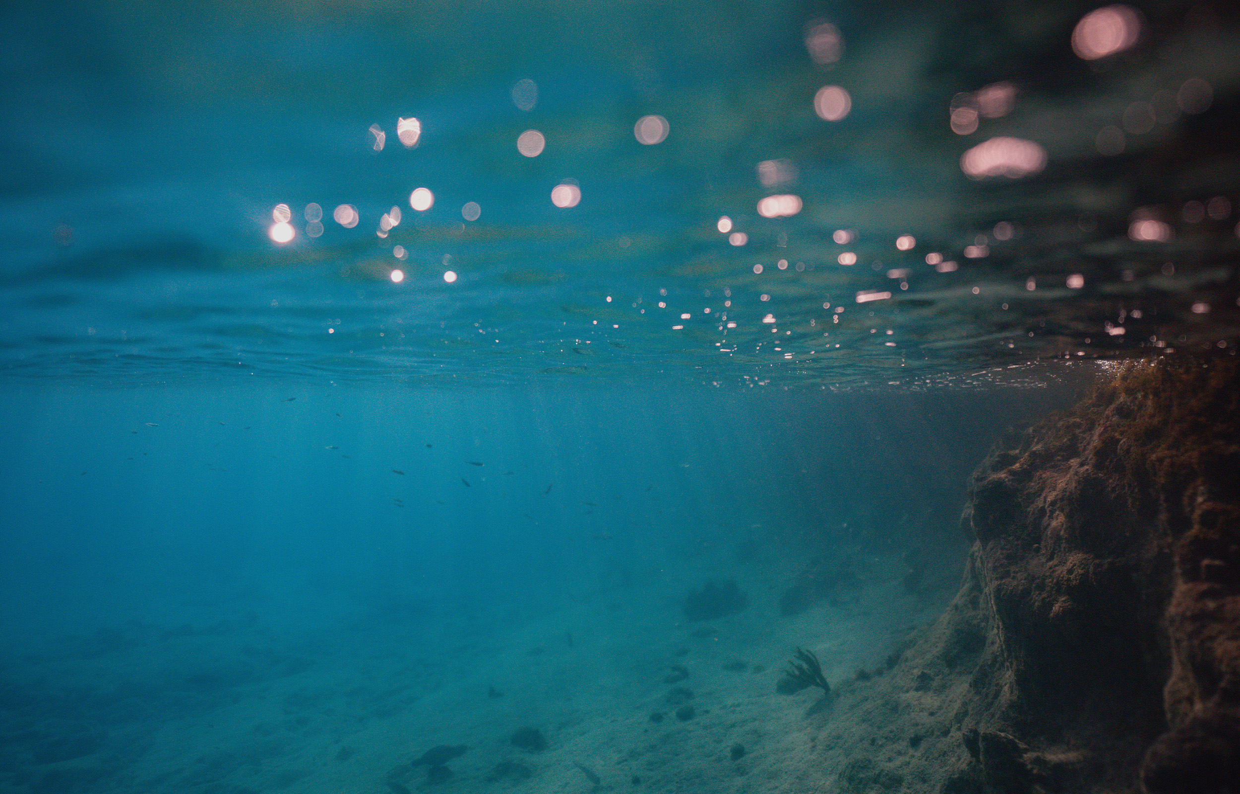 Clean Water for Reefs Toolkit Introduction - Coral Reef Alliance