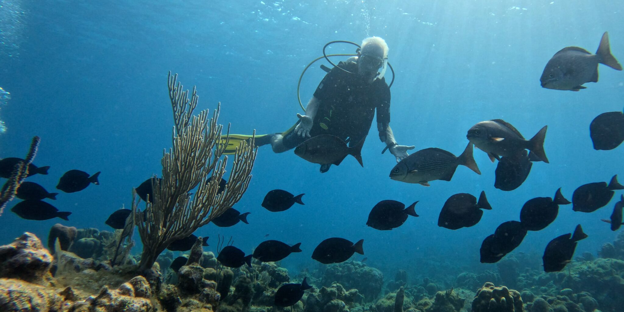 The Ripple Effect - How Coral Reefs Connect Us All - Coral Reef Alliance