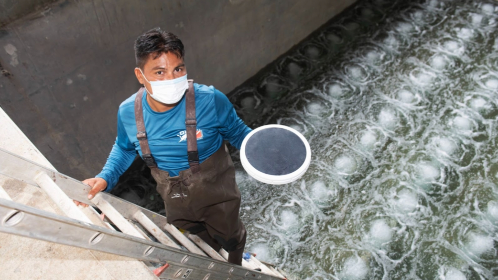 Restoring Coral Reefs Through Clean Water and Sustainable Fisheries ...