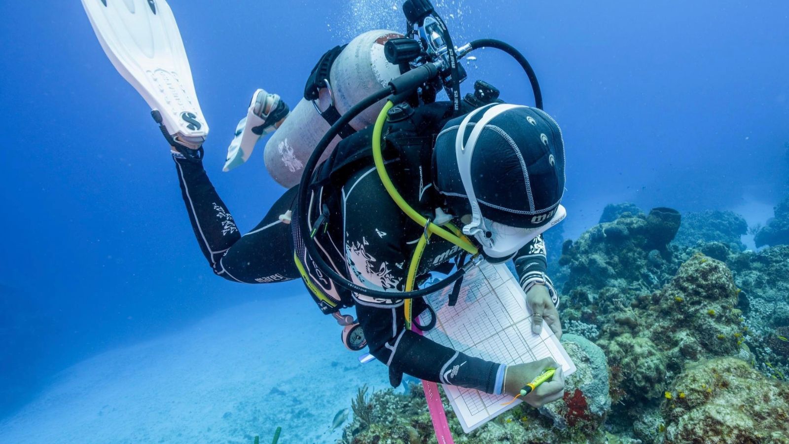 Assessing Coral Reefs through Adaptation Science - Coral Reef Alliance