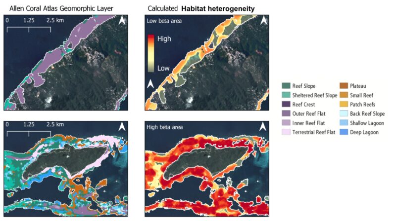 Assessing Coral Reefs through Adaptation Science - Coral Reef Alliance