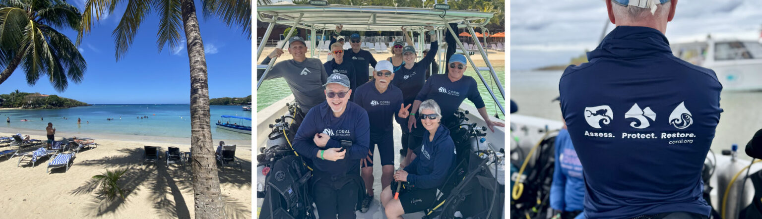 5 Easy, Impactful Ways to Help Coral Reefs from Anywhere - Coral Reef ...