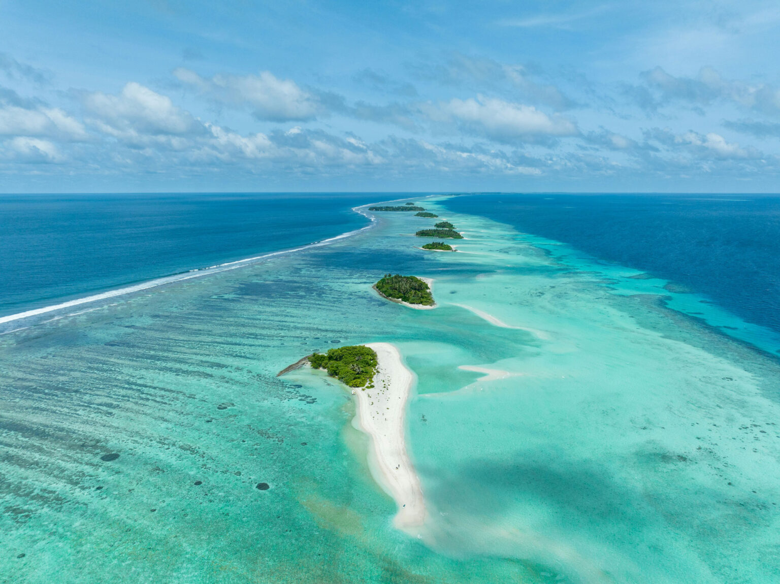 A Bold New Plan for Coral Reef Conservation - Coral Reef Alliance