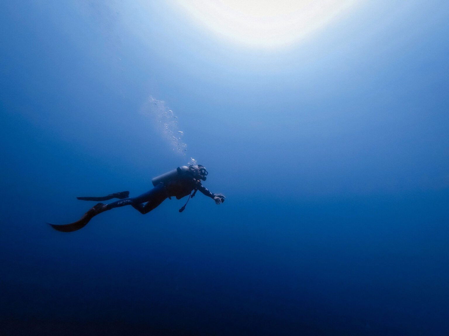 Don’t Shop. Dive. Giving Thanks for “Blue Friday” - Coral Reef Alliance