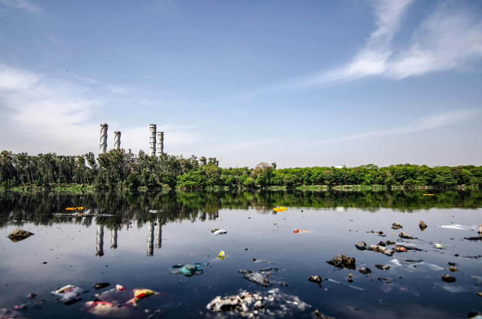 Ways to Protect the Environment - Coral Reef Alliance